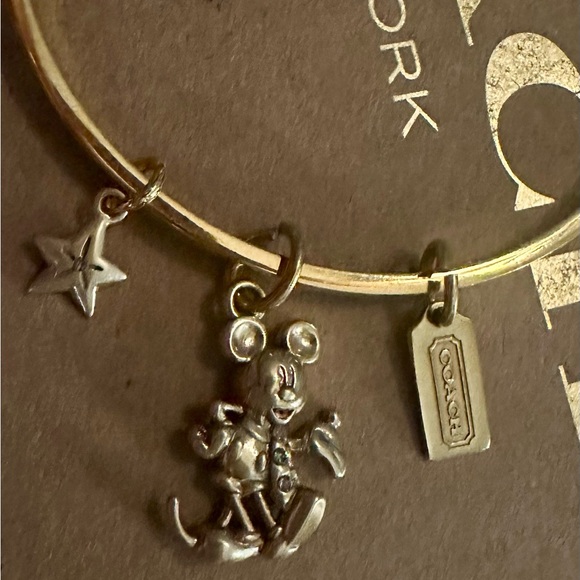 Coach | Jewelry | Coach X Disney Crystal Holiday Mickey Mouse Slim ...